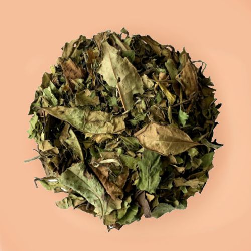 TeaLea | Thé & Tisane